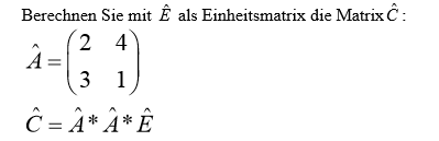 Matrix durch Einheitsmatrix berechnen | Mathelounge